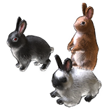 商店 組合包 - 《流亡黯道 PoE》